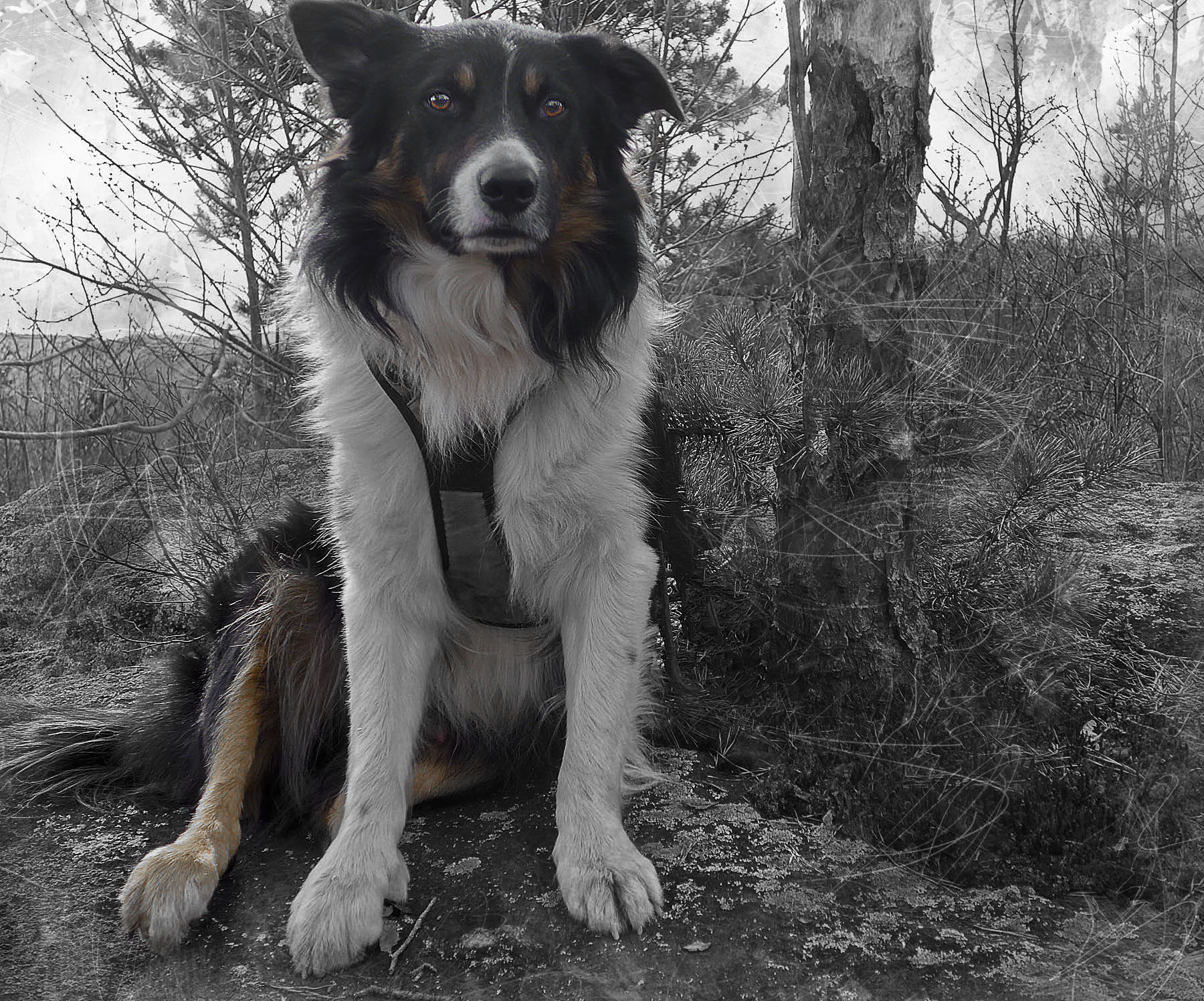 Variations – joeaveni photography